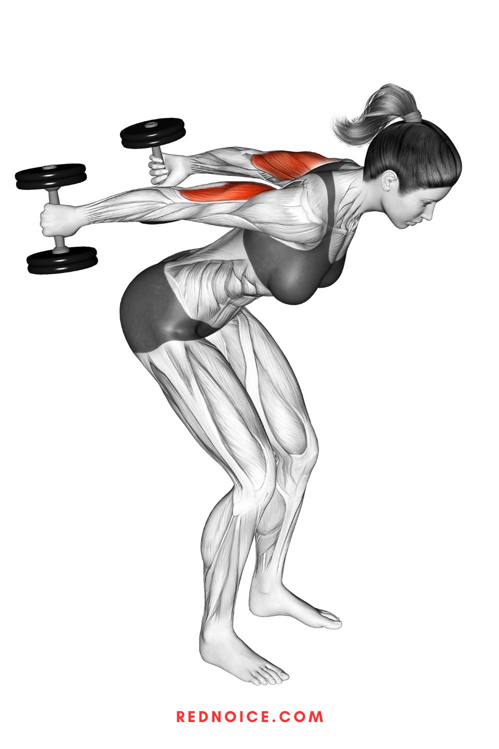 Build Muscle and Burn Fat With This 30-Minute Full-Body Dumbbell Workout