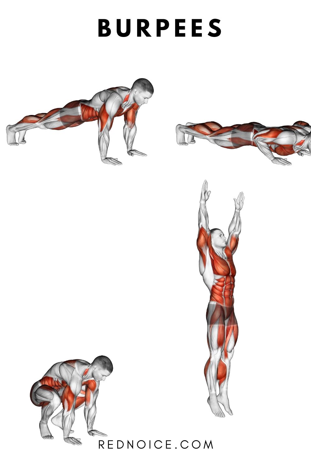 30 Best Bodyweight Exercises to Work Your Entire Body Anywhere