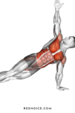 20 Best Core Exercises to Strengthen Your Abs (At-Home Workout)